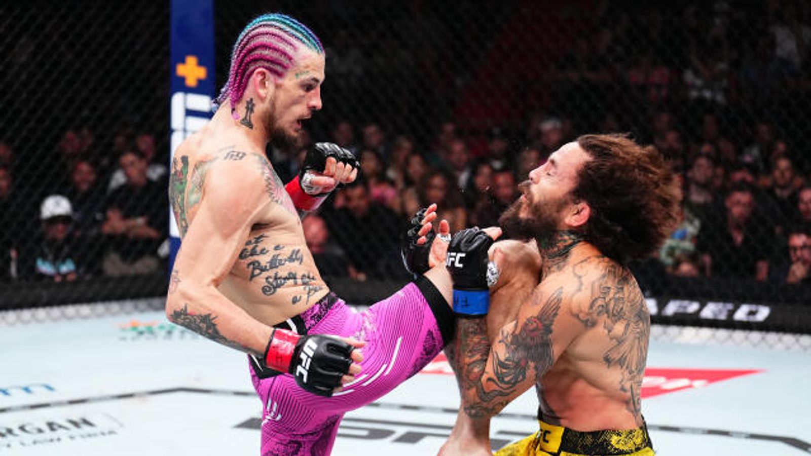 Sean O'Malley puts on a superstar performance in the Octagon, at the ...